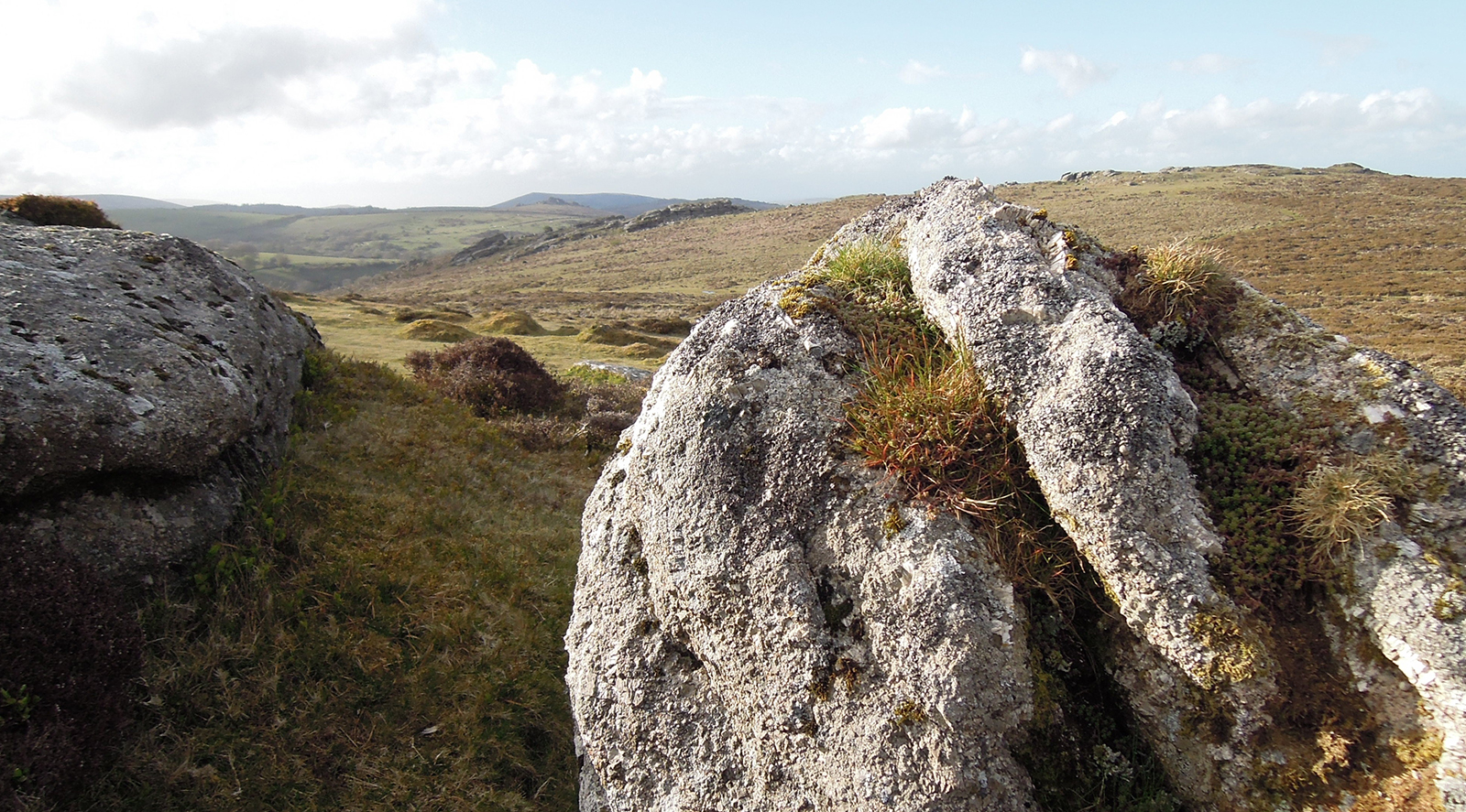 Teignbridge - Devon Delivers