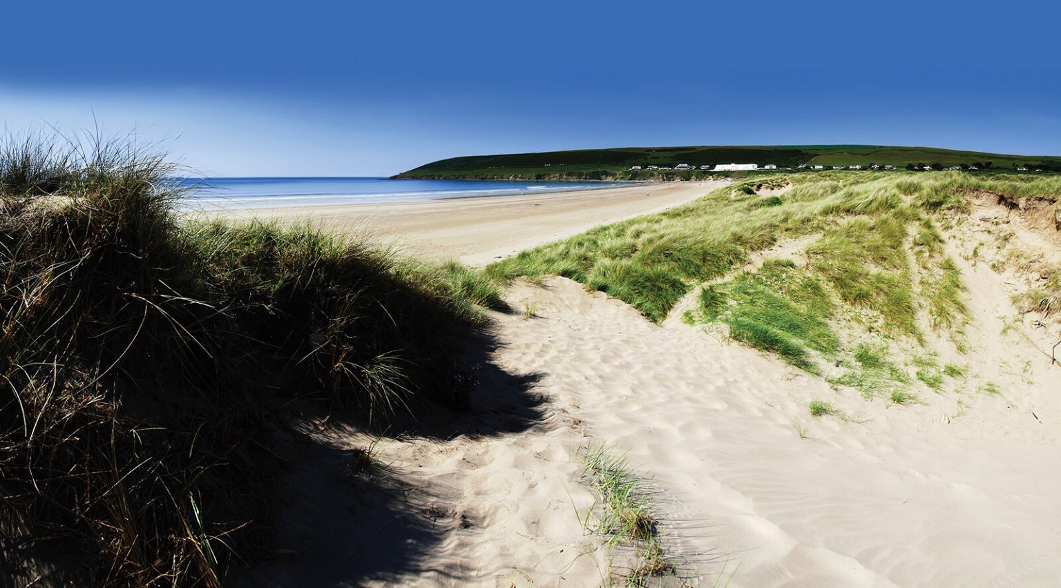 Devon's Climate Emergency - Devon Delivers